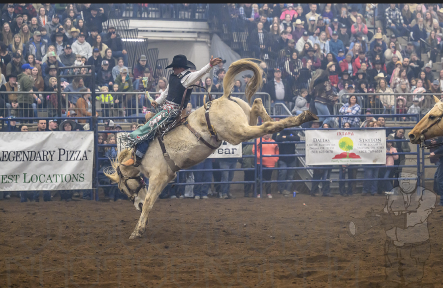 Hell On Hooves Roughstock Rodeo Tour Albany Oregon February 3rd 2024