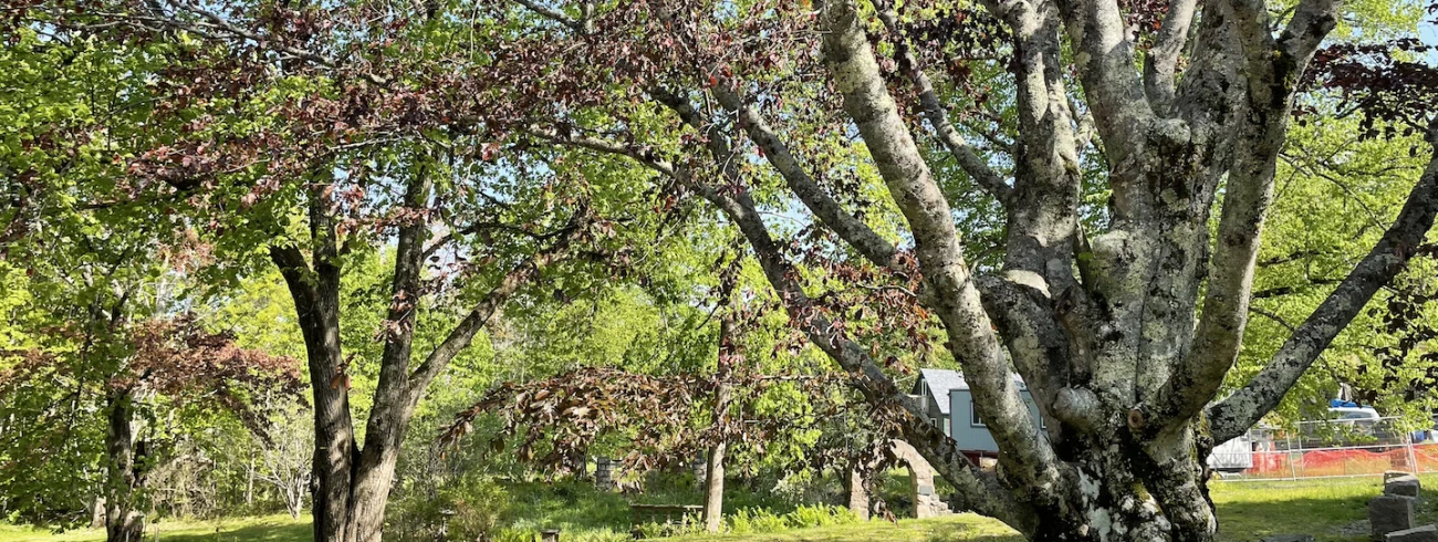 Road Line Ramble: Buy Tickets Online