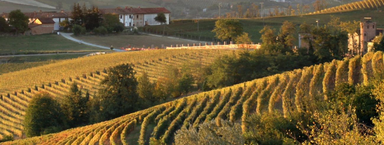 G.d. Vajra Wine Tasting Dinner: Buy Tickets Online